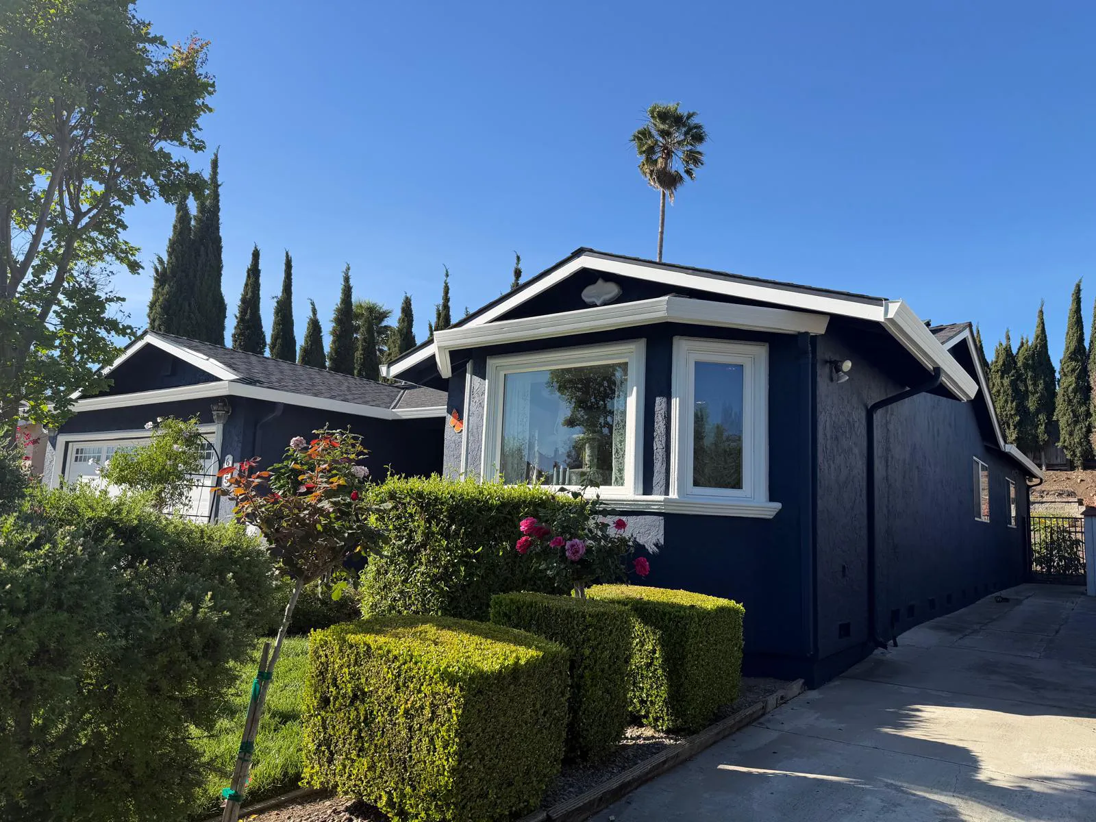 World Pro Painting | Fremont's Premier Exterior Painting